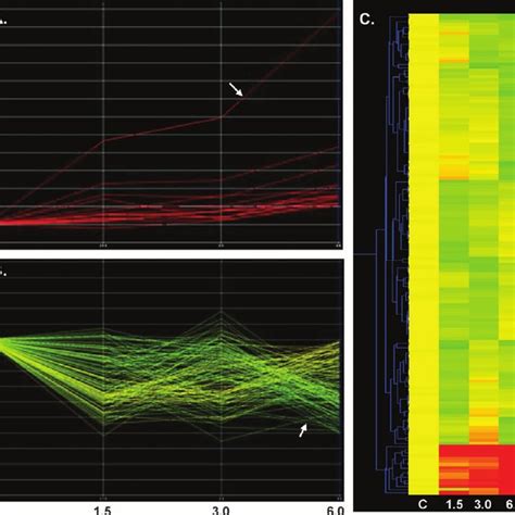 Primer Sequences Used For Real Time Pcr Confirmation Of Microarray Data