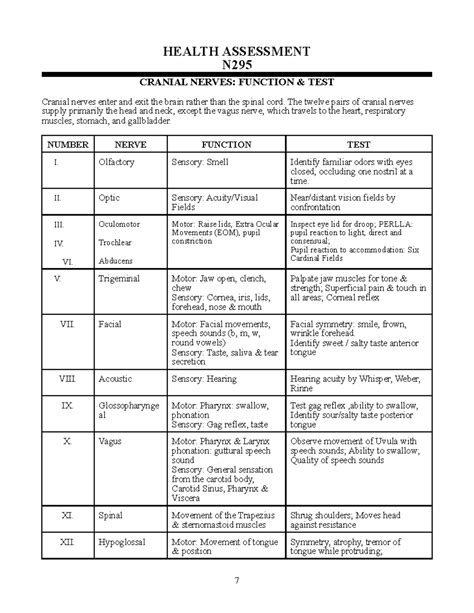 How To Check Cranial Nerves Signalsteel19