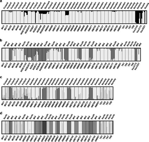 a c genetic structure from 20 individual structure simulations merged