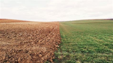 Differences Between Sharecroppers And Tenant Farmers Farming Base