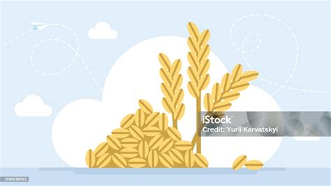 밀과 곡물 스파이크 옥수수의 황금 귀입니다 곡물 식물 및 시리얼 호밀 보리 및 밀 귀 스파이크 음식 패키지 디자인 템플릿 조각 음식입니다 플랫 그림입니다 Veganuary에