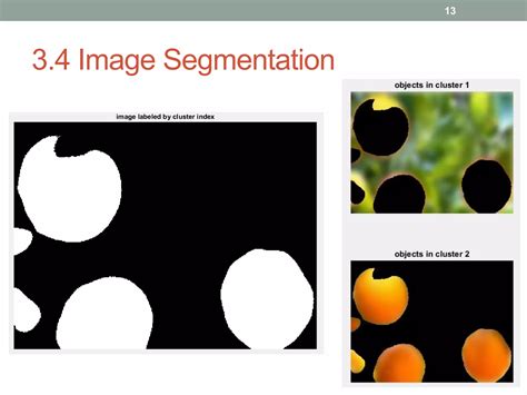 Fruit Detection Using Morphological Pptx