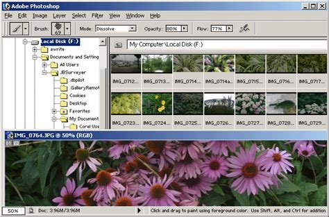 Download Free The Print Shop Standard Edition Software Depositfilest