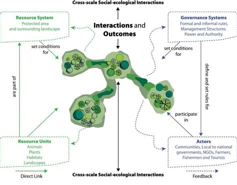Ecological Networks Protected Areas Review Ecological Networks Think