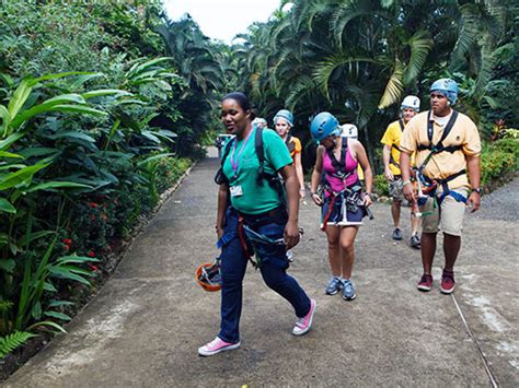 St Lucia Super Combo Aerial Tram Trail Hike And Canopy Zip Line