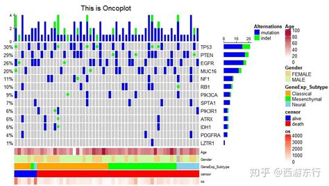 ComplexHeatmap 根据excel表绘制突变景观图oncoplot 知乎