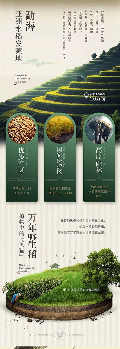 米粮油食品详情页楠哒二哒哒果冻h采集到详情页400图花瓣平面