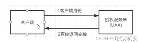 springsecurity oauth2 0 搭建认证中心和资源服务中心 阿里云开发者社区