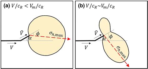 Schematic View Of Dynamic Hoop Stress At The Kinked Crack Tip And