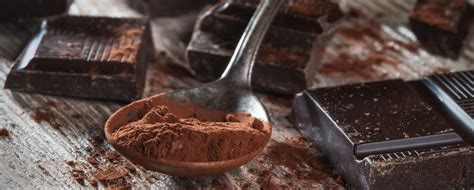 Cocoa Based Polyphenols Market Will Record A Sluggish 58 Cagr Through