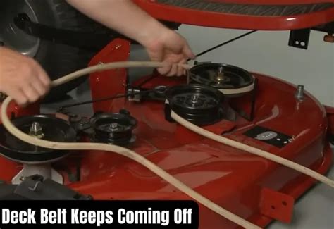 7 Reasons Why Lawn Mower Revving Up and Down - LawnAsk