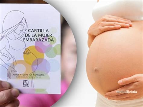Todo Lo Que Necesitas Saber Sobre La Cartilla De La Mujer Embarazada
