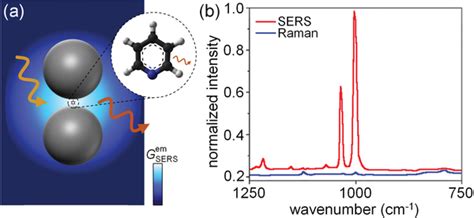 A Schematic Representation Of The Nanostructure‐molecule Interaction