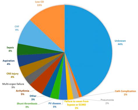 Cause Of Death The Pie Chart Below Details The Cause Of Death For