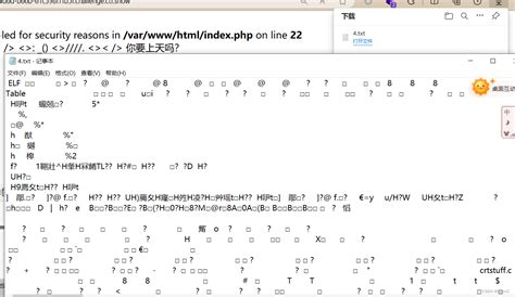 Ctfshow Web入门 命令执行（web75 Web77）ctfshow Web75 Csdn博客