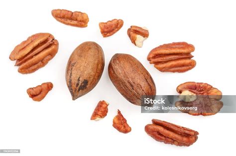 피칸 너트 흰색 배경에 고립입니다 평면도 플랫 레이 피칸에 대한 스톡 사진 및 기타 이미지 피칸 컷아웃 호두 Istock