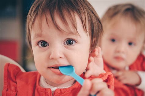Quand et comment introduire le gluten chez bébé potpotam