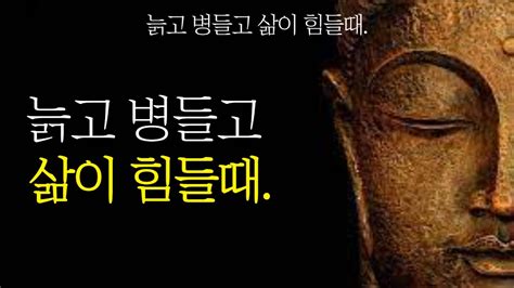 늙고 병들고 죽는 괴로움에서 벗어나라 법상스님 법상 마음공부 마음수행 Youtube