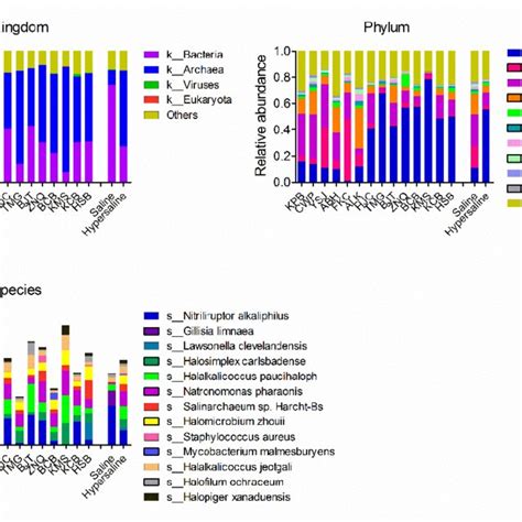 Pdf Metagenomic Insights Into Microbial Community Structure Function And Salt Adaptation In