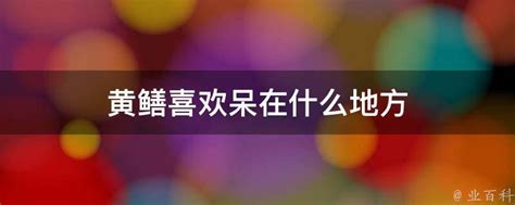 黄鳝喜欢呆在什么地方 业百科
