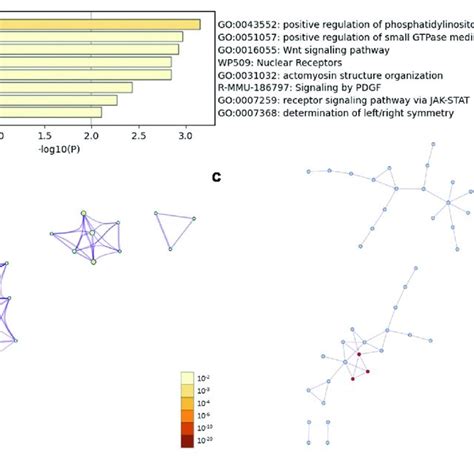 Bioinformatic Prediction A Heatmap Enriched Terms Colored By
