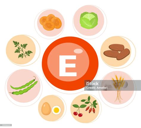 비타민 E 또는 토코페롤 음식 소스 비타민 E 건강한 영양의 기초의 최대 함량을 가진 천연 유기농 제품 0명에 대한 스톡 벡터 아트 및 기타 이미지 Istock