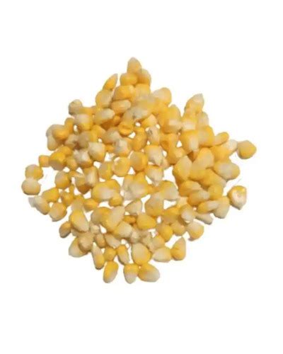 Frozen Good Dried Corn Kernels At Best Price In Cooch Behar Om Enterprise