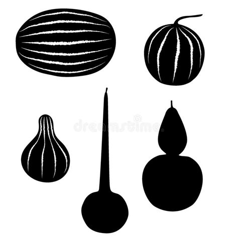 Melons And Squashes Stock Vector Illustration Of Autumn 37998108