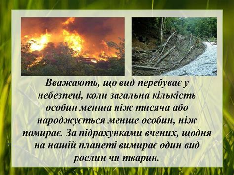 Тварини та рослини Червоної книги України презентация онлайн