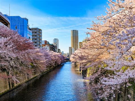 【首都圏版】「住み続けたい街（自治体）」ランキング！ 2位「東京都目黒区」、1位は？22 All About ニュース
