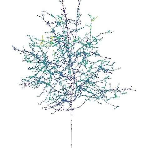 A Graph Structure Model Of The Same Tree In Figure Where Each Node Download Scientific