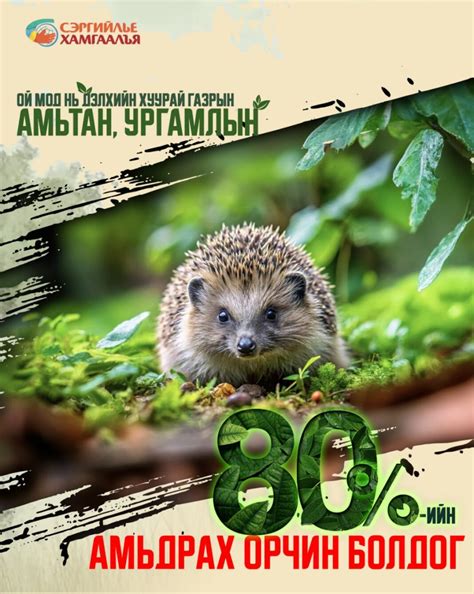 НОБГ ОЙ ХЭЭРИЙН ТҮЙМРИЙН ТАЛААР ТАНЫ ЗААВАЛ МЭДЭХ ЁСТОЙ ЗҮЙЛС