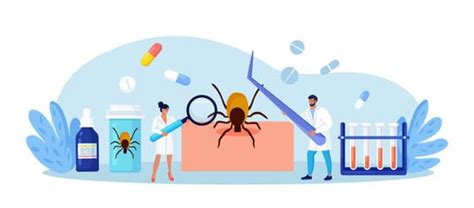 Allergia Agli Acari Cause Sintomi E Rimedi Per Stare Meglio