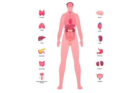 What Are The 8 Amazing Full Body Checkup Packages And How Can You Take