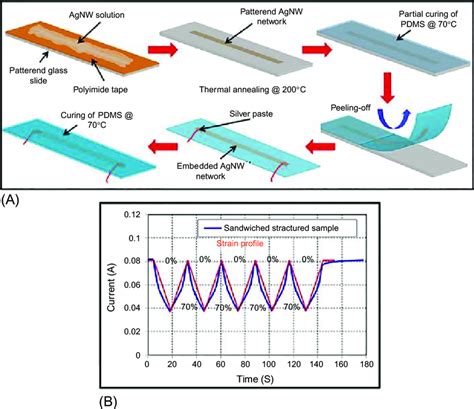 14 A Fabrication Flow Of Agnw Pdms Based Strain Sensor B Response Download Scientific