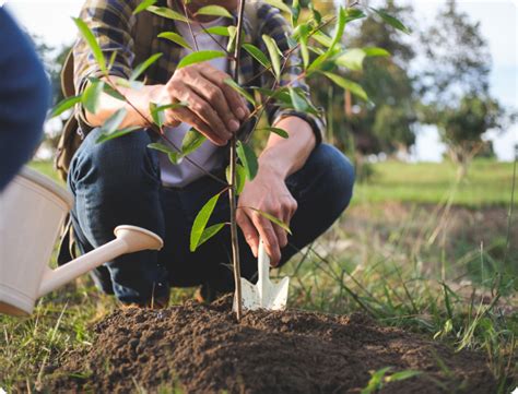 How To Save Water Save Our Water California