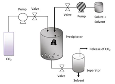 Application Of Supercritical Fluids In The Conservation Of Bioactive
