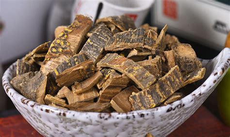 海桐皮别名 海桐皮 枣皮的别名 第10页 大山谷图库