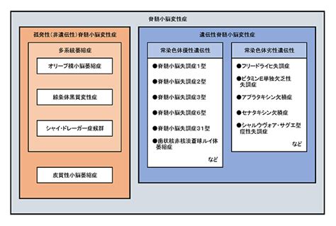 －脊髄小脳変性症－約30％が遺伝を原因とする小脳だけでなく脳幹や脊髄などの中枢神経細胞が変性 介護の本音口コミサイト「老人ホームマップ」