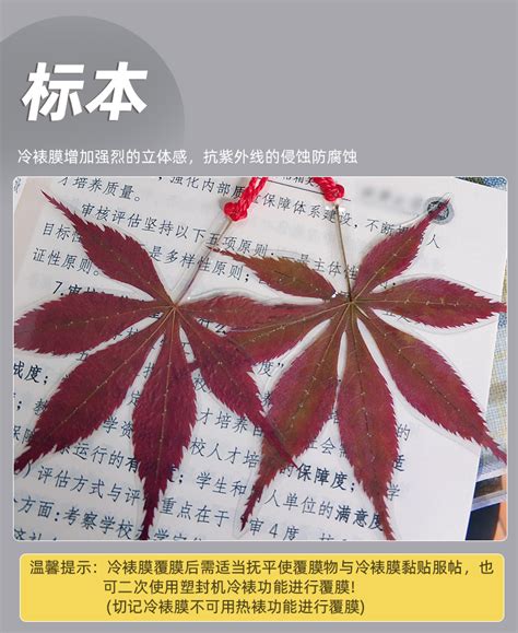 古德冷裱膜a4照片相片保护膜塑封膜6寸手工书签冷表膜磨砂a3贴膜 阿里巴巴