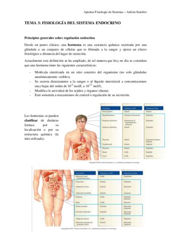 TEMA fisiología pdf
