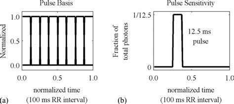 Typical Temporal Basis Functions And Sensitivity Function Download Scientific Diagram