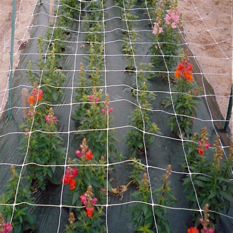 Cut Flower Netting 48 X 3280 Harris Seeds