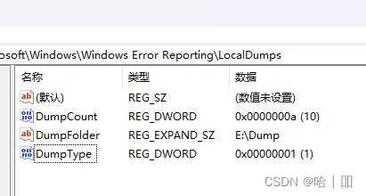 NET 使用Dump文件分析异常 c dump CSDN博客
