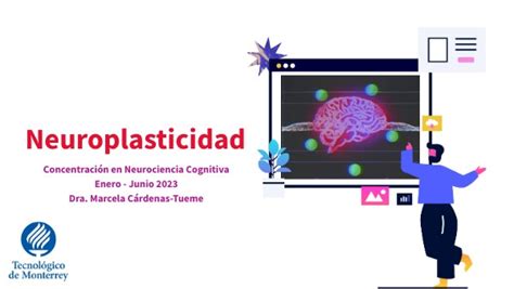 Neuroplasticidad