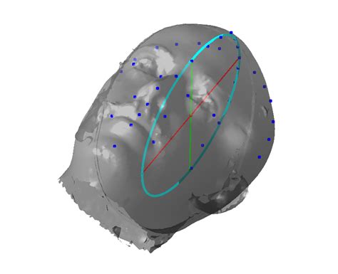 Ellipse Fitting On The Symmetry Plane Used To Align The Scan Data And Download Scientific
