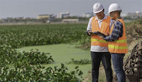 Nr 31 Aplicações No Pgr Do Trabalho Rural Esst Gestão