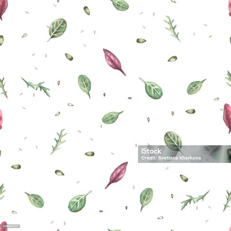 흰색 배경에 샐러드 잎이 있는 완벽 한 패턴입니다 카페 및 레스토랑 메뉴 실내 장식 및 포장지 디자인을위한 아침 식사를 주제로 한 수채화 그림 건강한 식생활에 대한 스톡