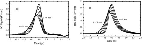 Temporal Field Waveforms Of A Focused Thz Pulse The Observation
